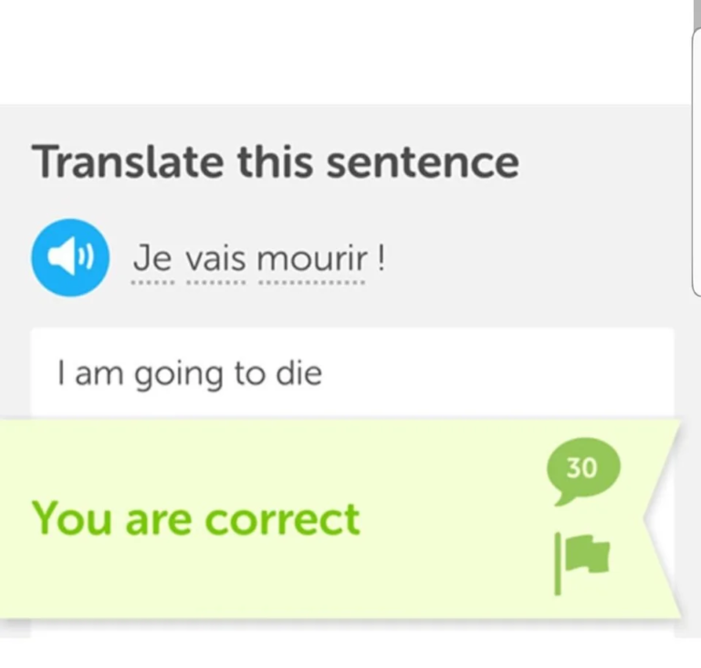 30 Crazy Duolingo Memes To Make You Say, "Wow That's Intense"